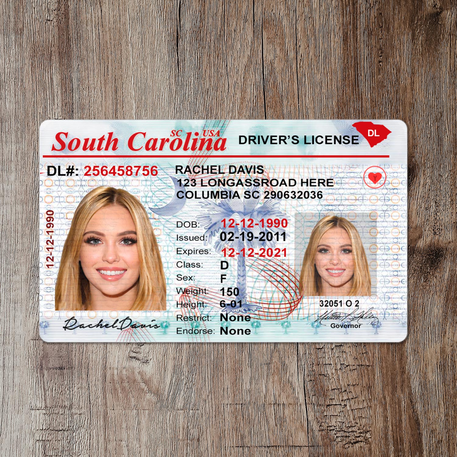 Blank South Carolina drivers license template