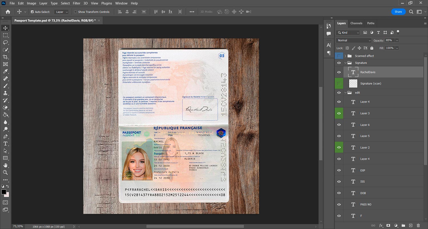 France Passport Template