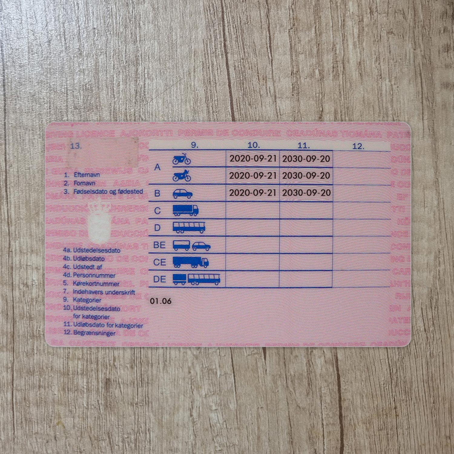 Denmark Driver License template
